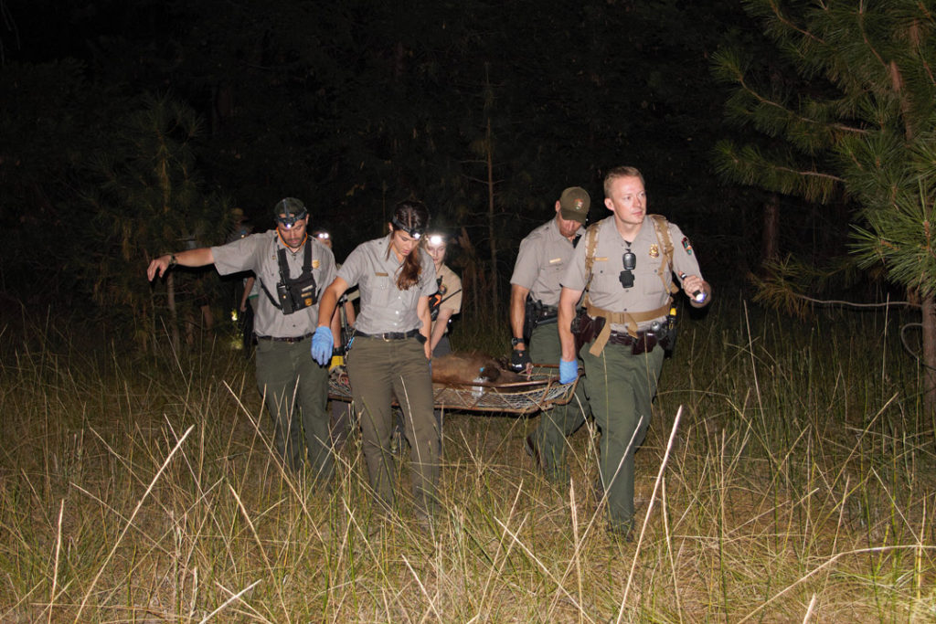 Bear Management | Keep Bears Wild