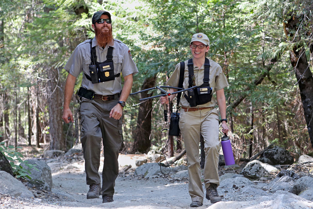 Bear Management | Keep Bears Wild