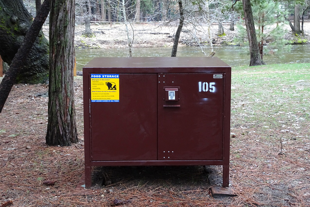 Bear Management | Keep Bears Wild